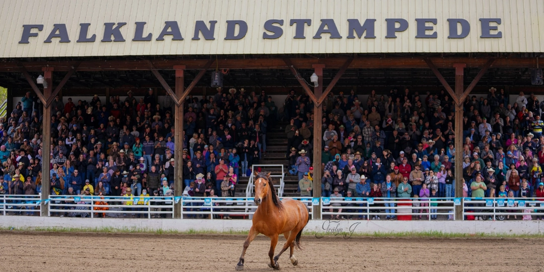 The 105th Falkland Stampede | Weekend Passes - Falkland Stampede ...