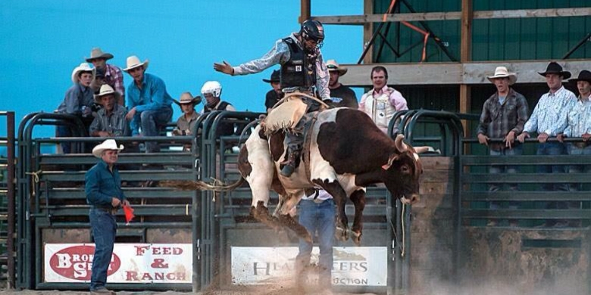 Teton Valley Rodeo - Teton County Fairgrounds - Driggs - Aug 8, 2025 ...