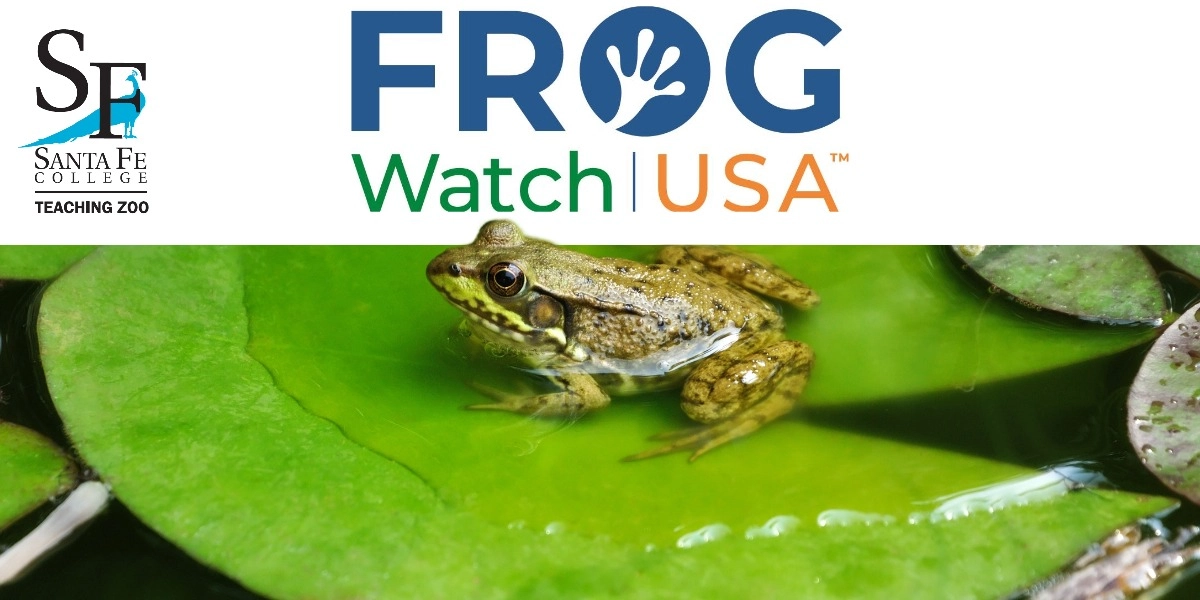 Event image for FrogWatch USA Volunteer Training Workshop