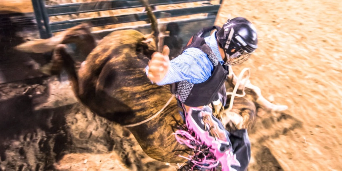 Event image for Teton Valley Rodeo